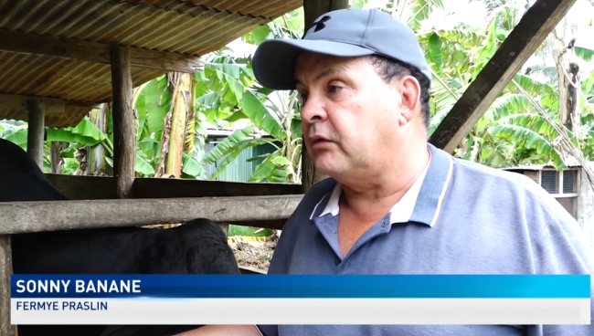 Bann fermye Praslin in dir zot satisfe ki zot pou kapab aste manze ...