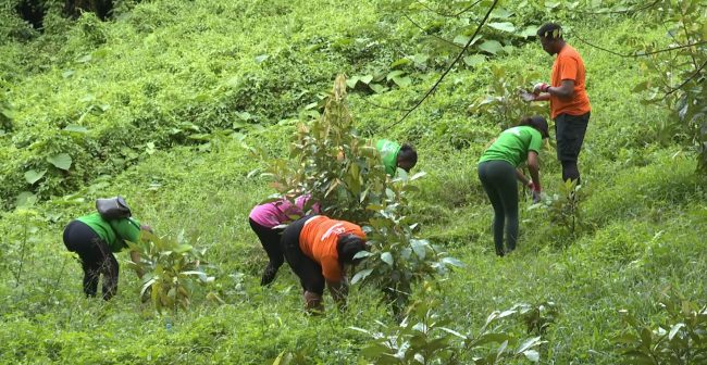 SACOS santye Salazi - Seychelles Broadcasting Corporation